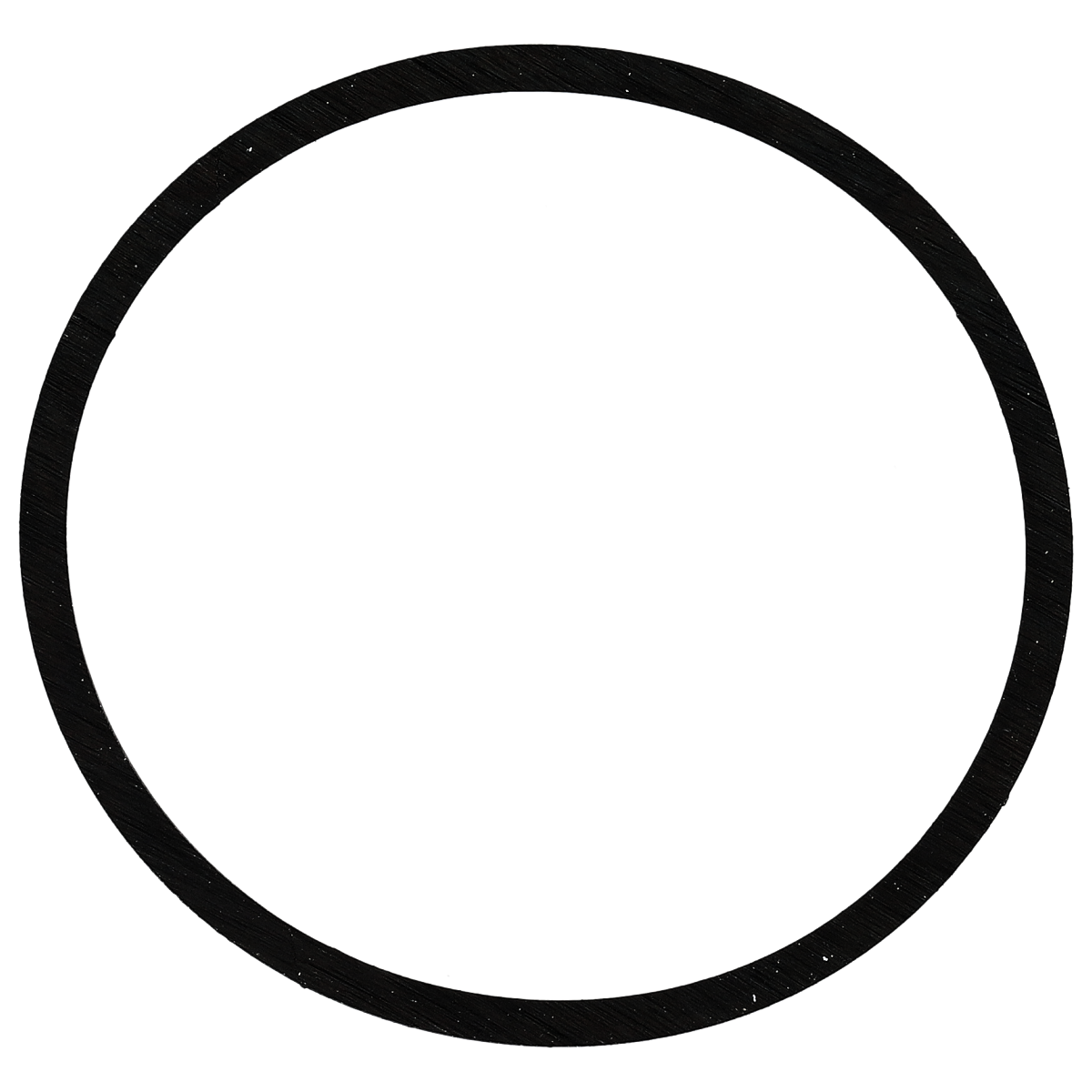 Gasket for caseback flat *generic*
